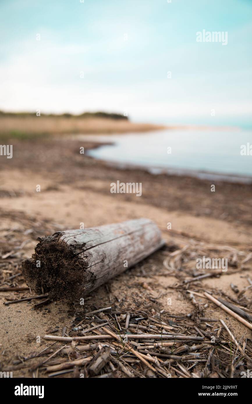 Vertical log hi-res stock photography and images - Alamy