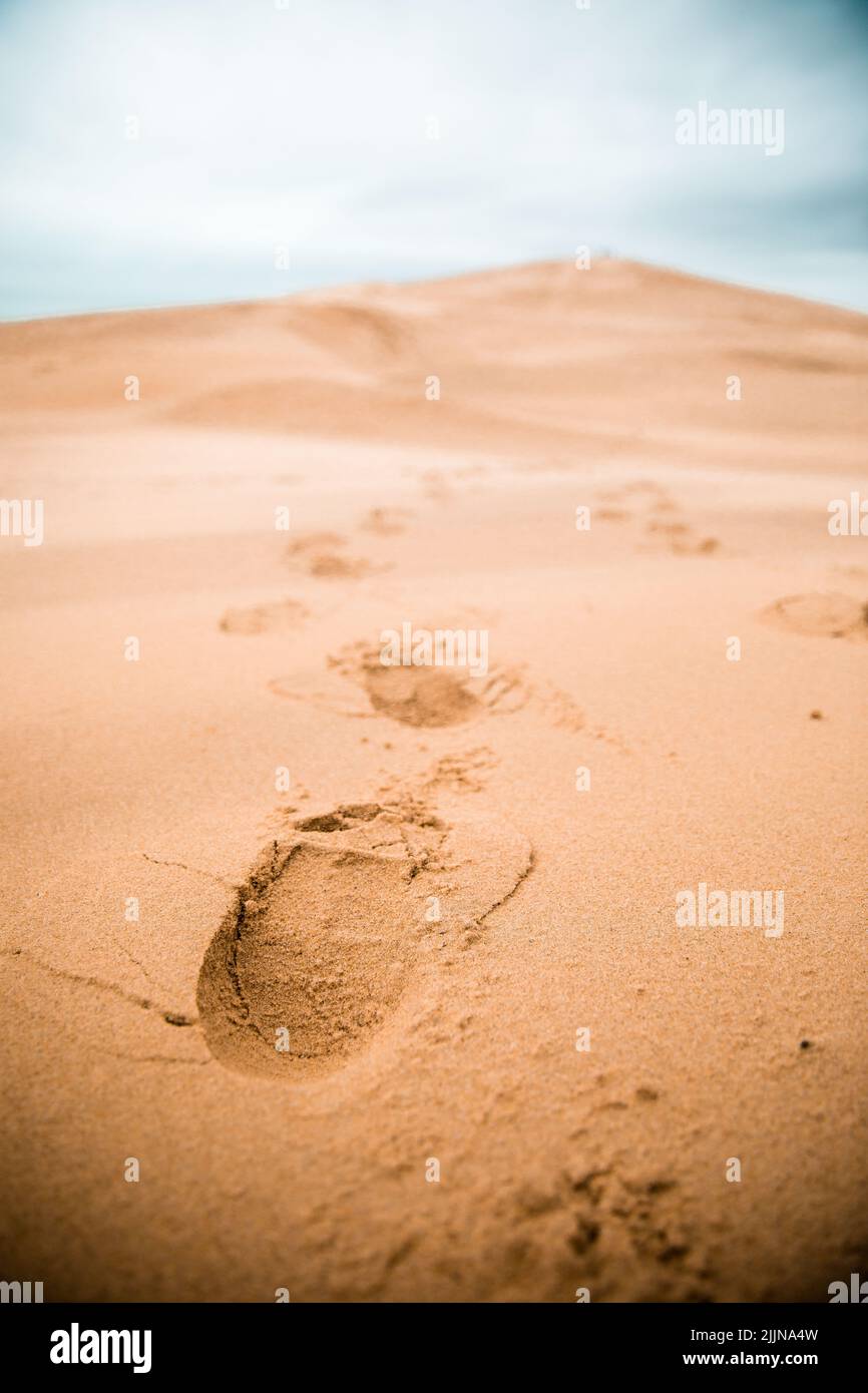 Vertical shot footsteps on hi-res stock photography and images - Alamy
