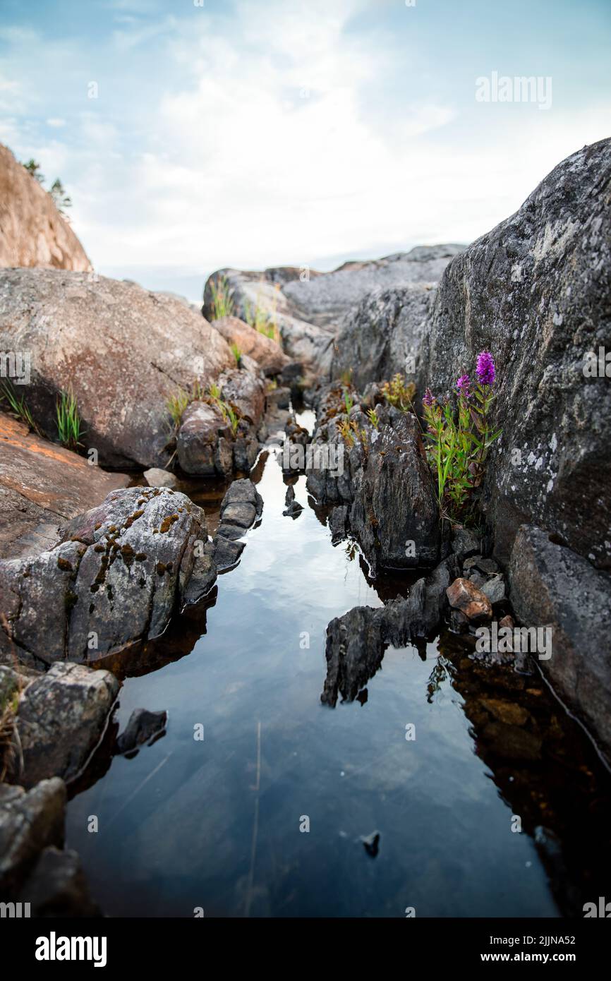 Clear puddle hi-res stock photography and images - Alamy