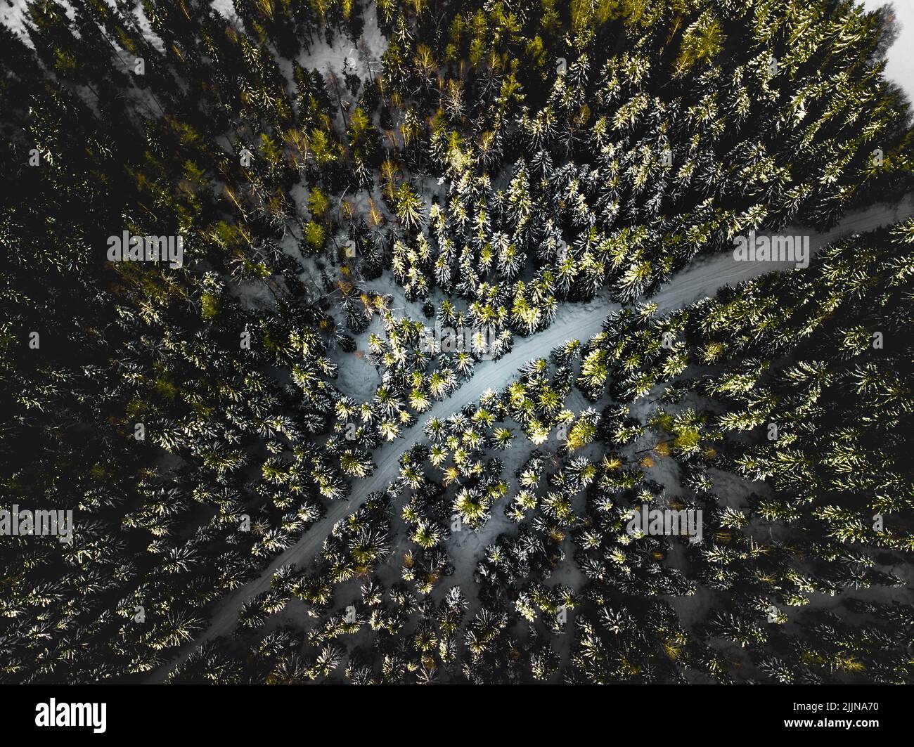 A top view of a green forest in daylight Stock Photo - Alamy