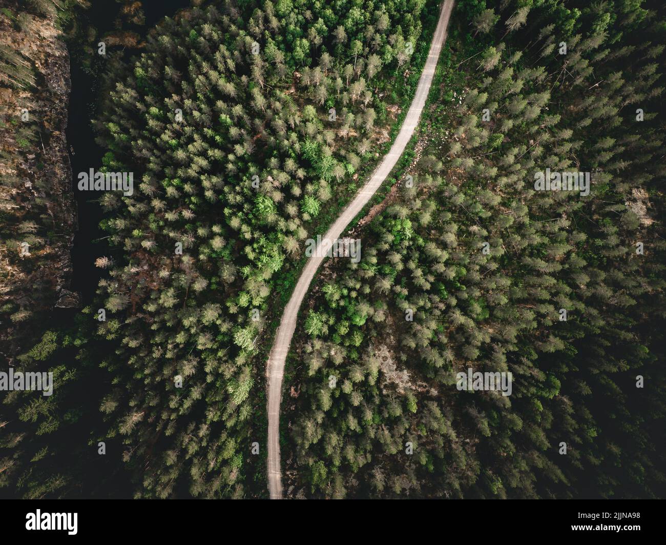 A bird's eye view of a road in the middle of a green forest full of ...