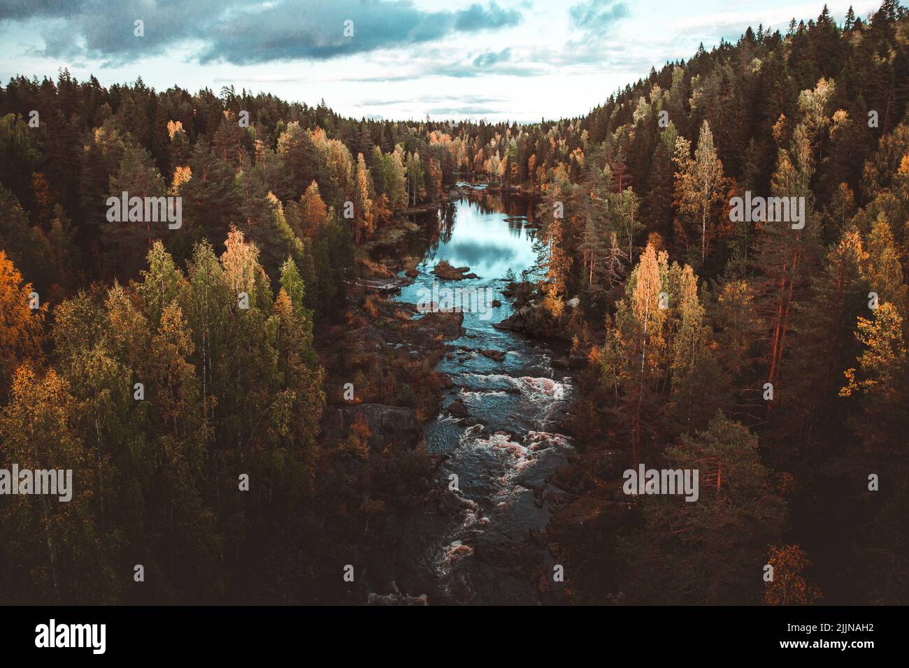 Aerial view green forest river hi-res stock photography and images - Alamy