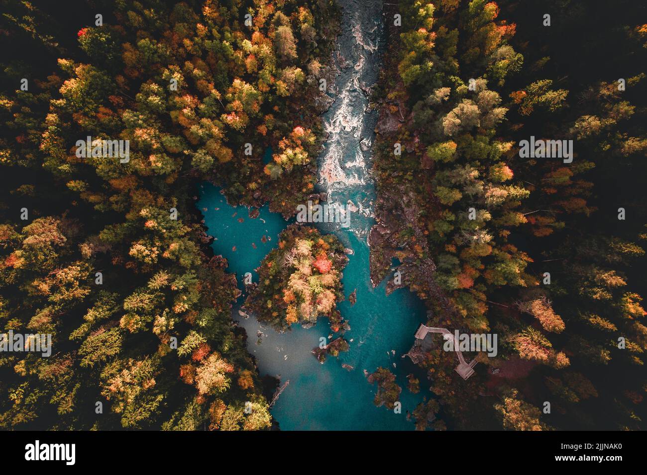 An aerial top view of a river flowing into a lake surrounded by a green ...