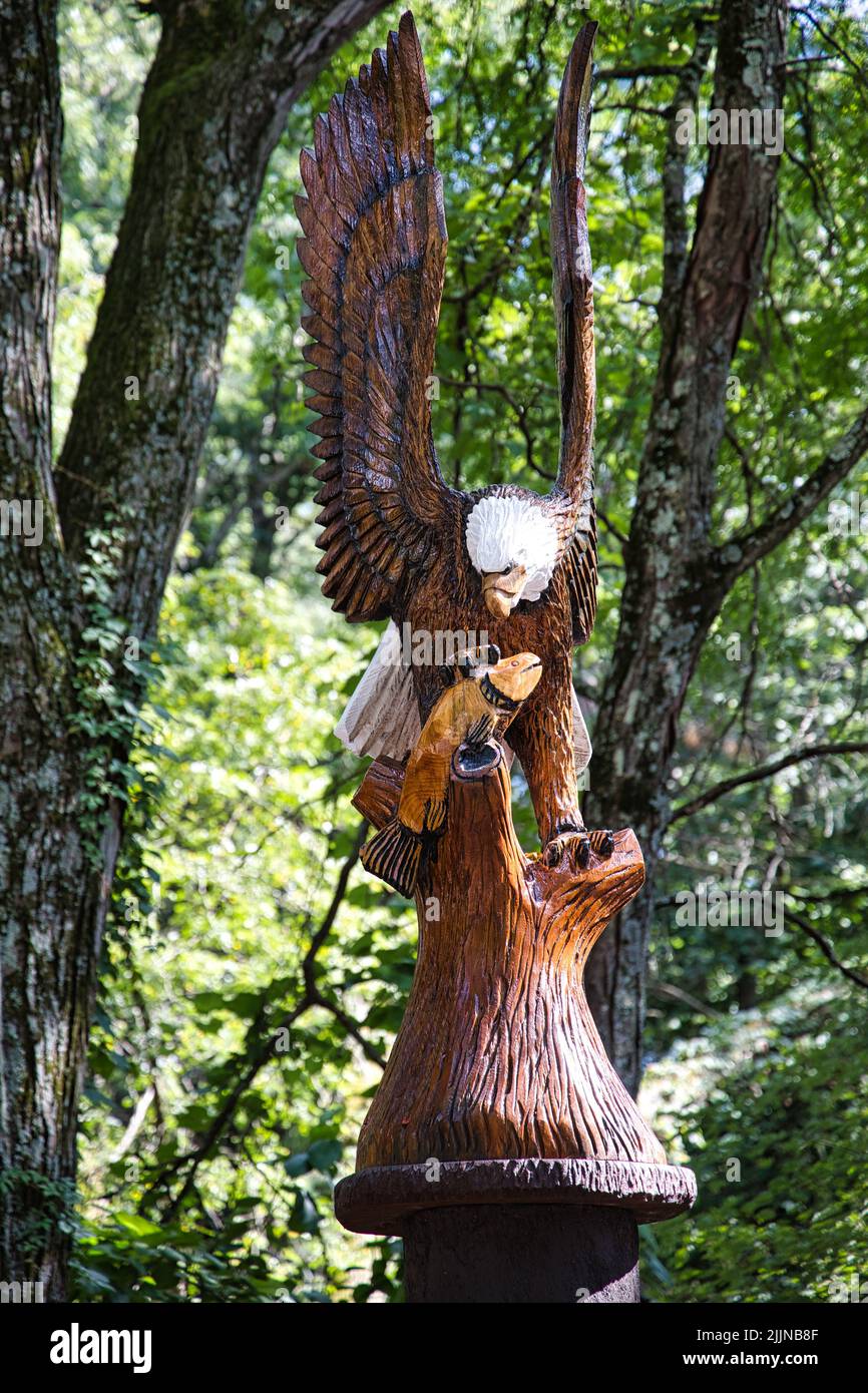 Bald eagle claws hi-res stock photography and images - Alamy