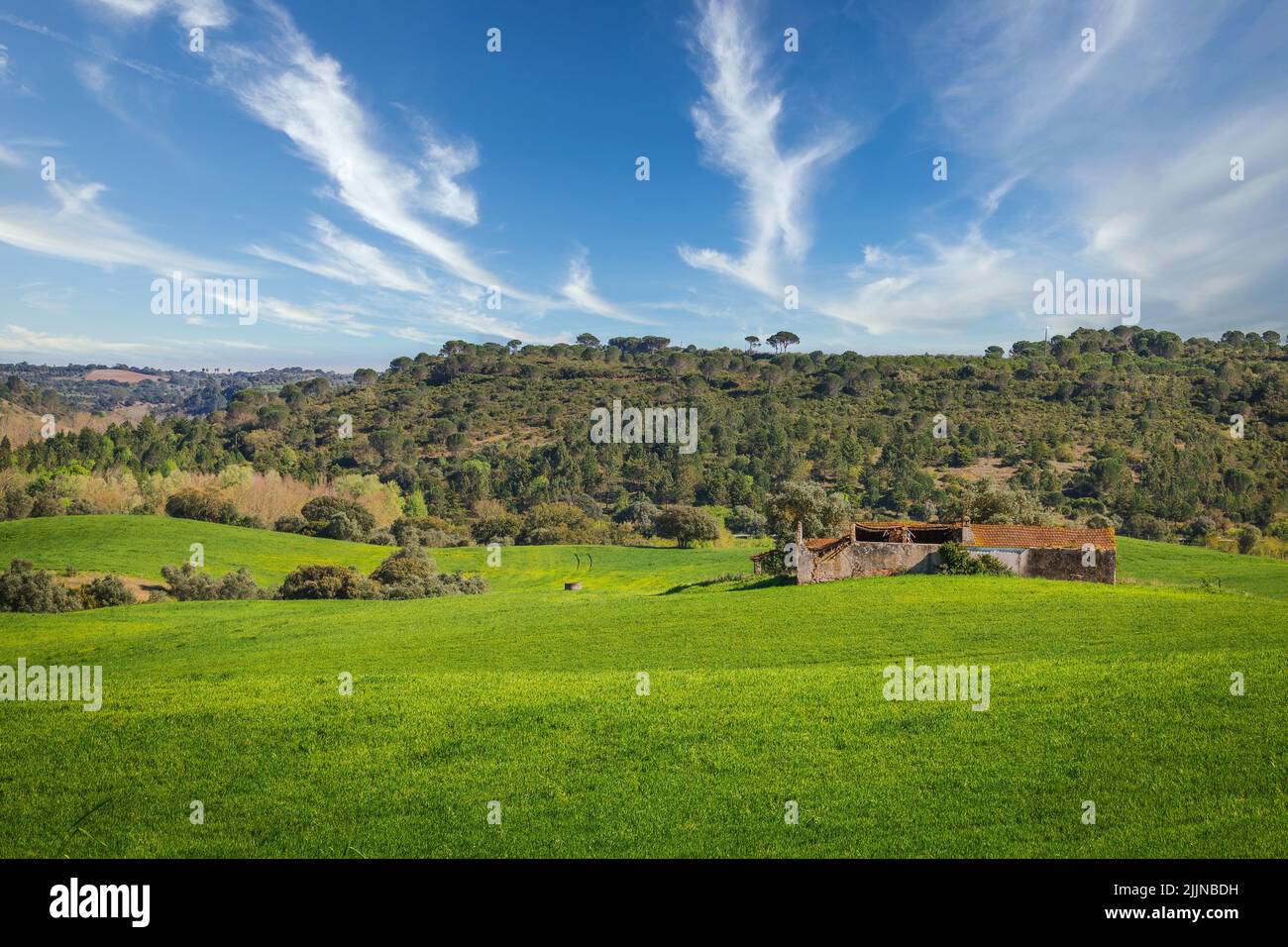 Old field abandoned hi-res stock photography and images - Alamy