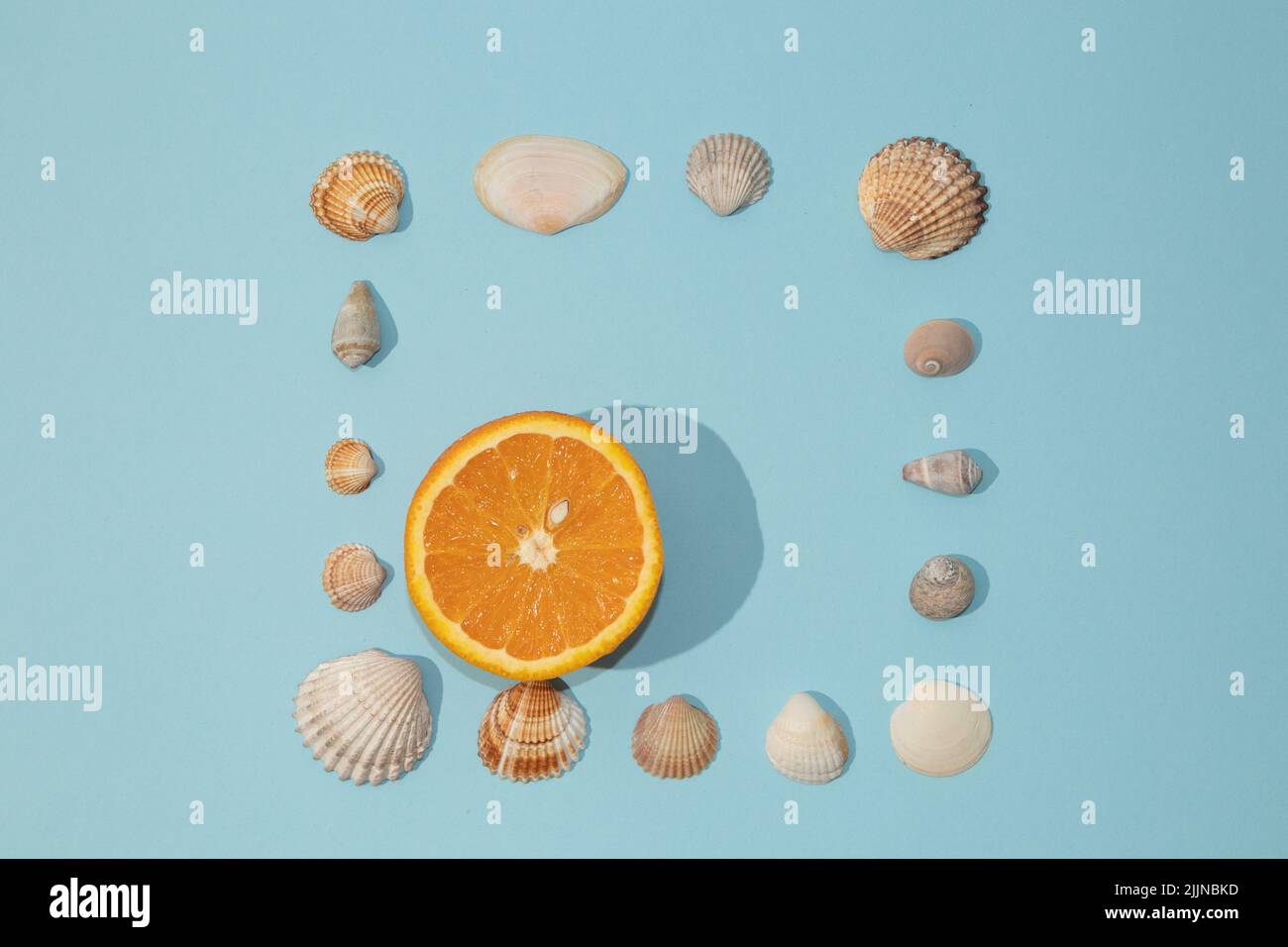 A closeup of a summer composition made of sea shells and oranges on a ...