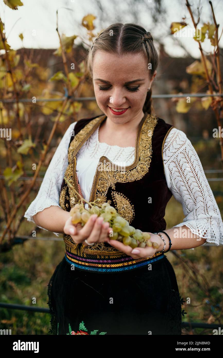 A closeup of golden braid hair girl in Serbian traditional costume ...