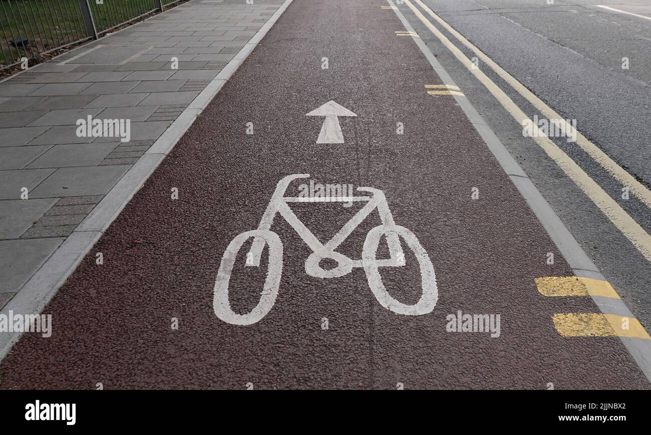 A dedicated cycle lane on New Street Stock Photo - Alamy