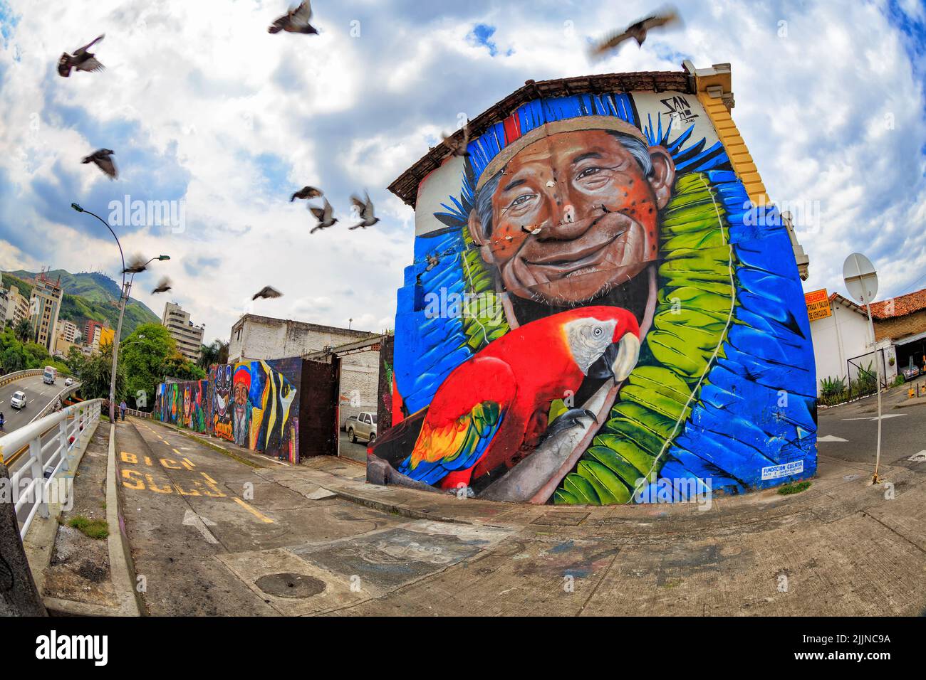 The Fisheye view of pigeons flying past a colorful mural in Cali ...