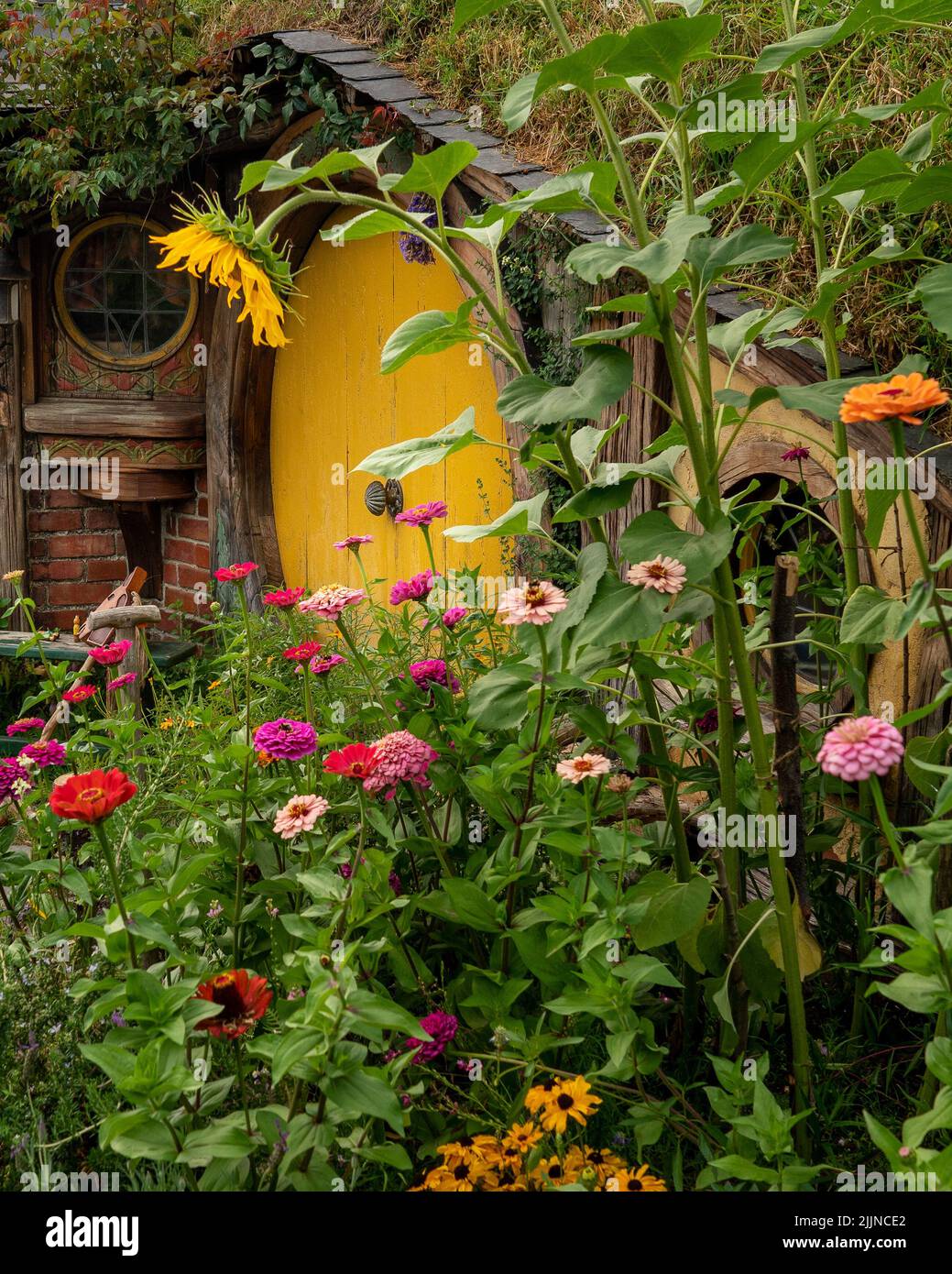 A closeup of the Iconic round yellow door surrounded by blooming ...