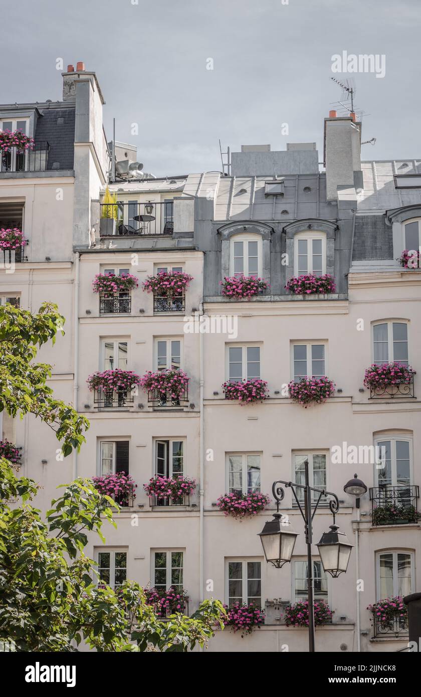 A view of a beautiful white building with flowers in pots under the ...