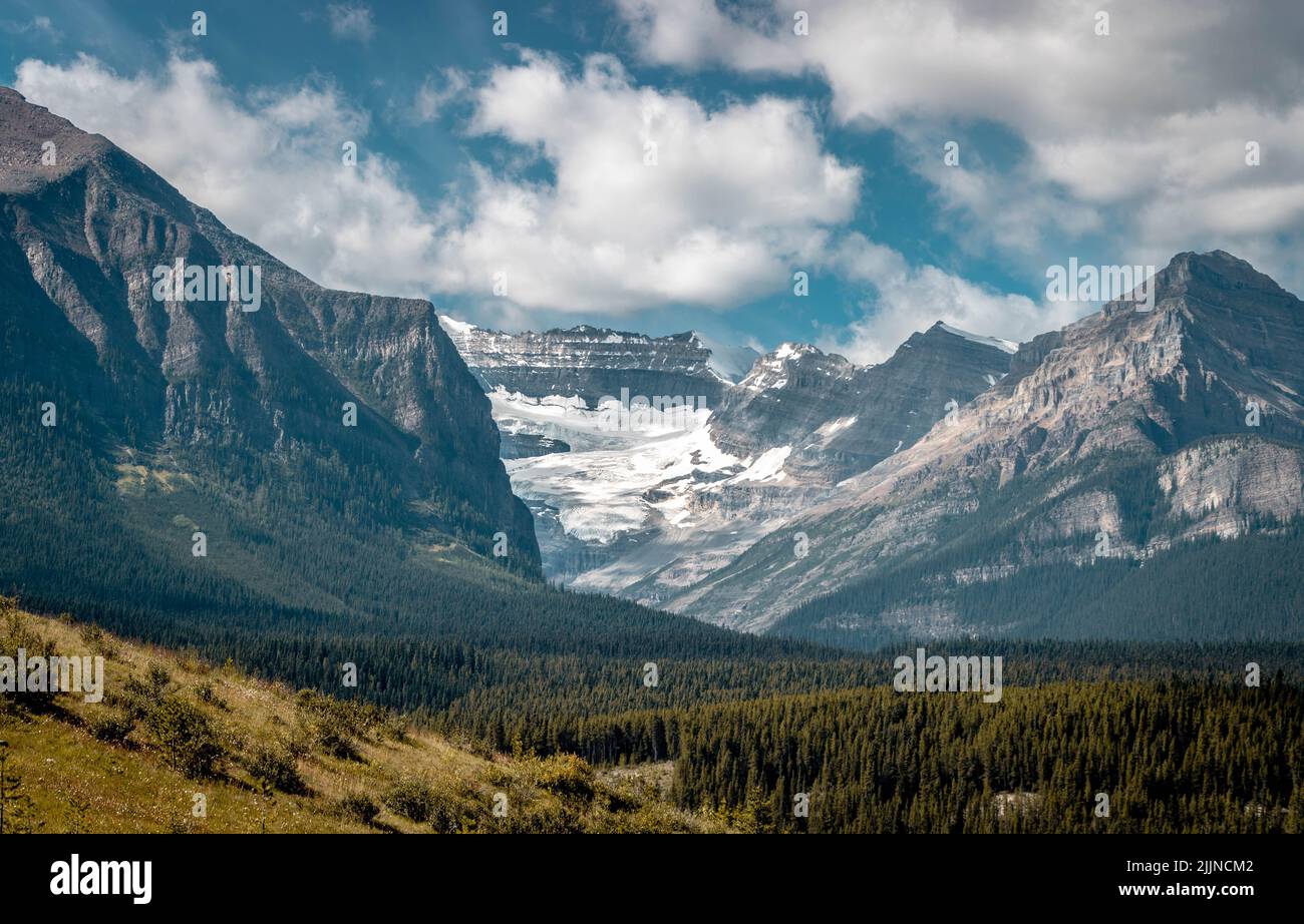 Canada forests hi-res stock photography and images - Alamy