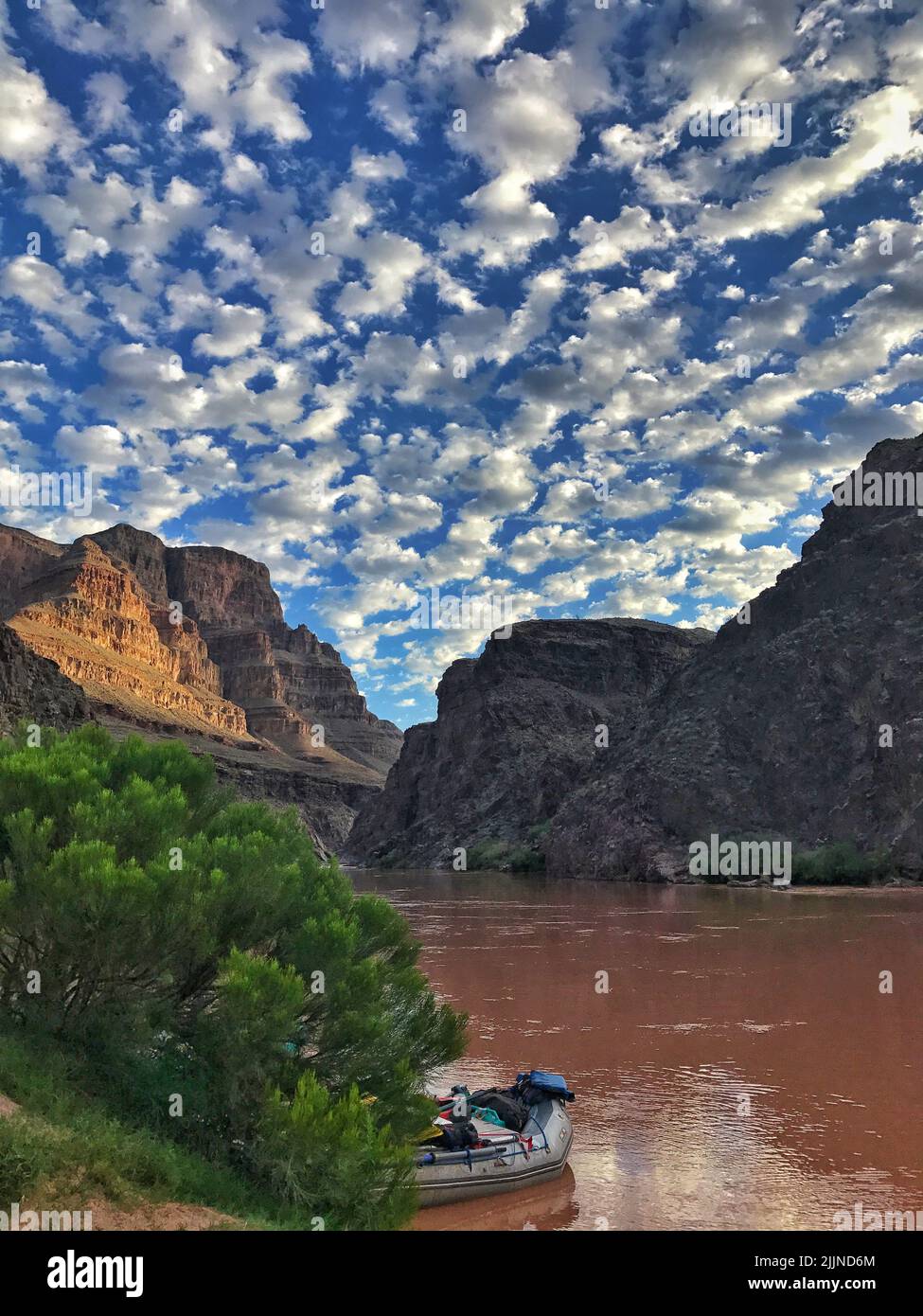 A vertical shot of river in Grand Canyon National Park, Arizona Stock ...