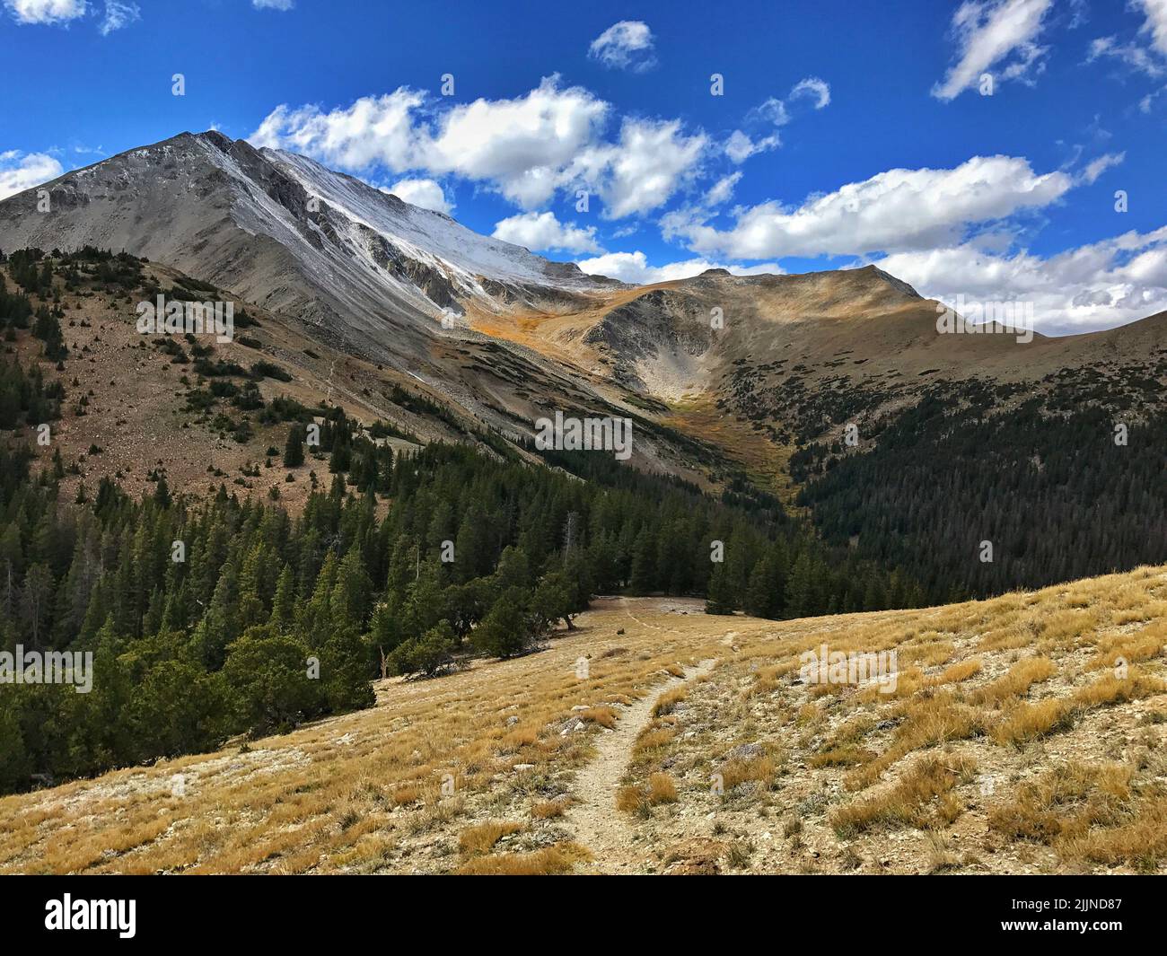 A beautiful scenery of the Colorado trail in Colorado, USA Stock Photo ...