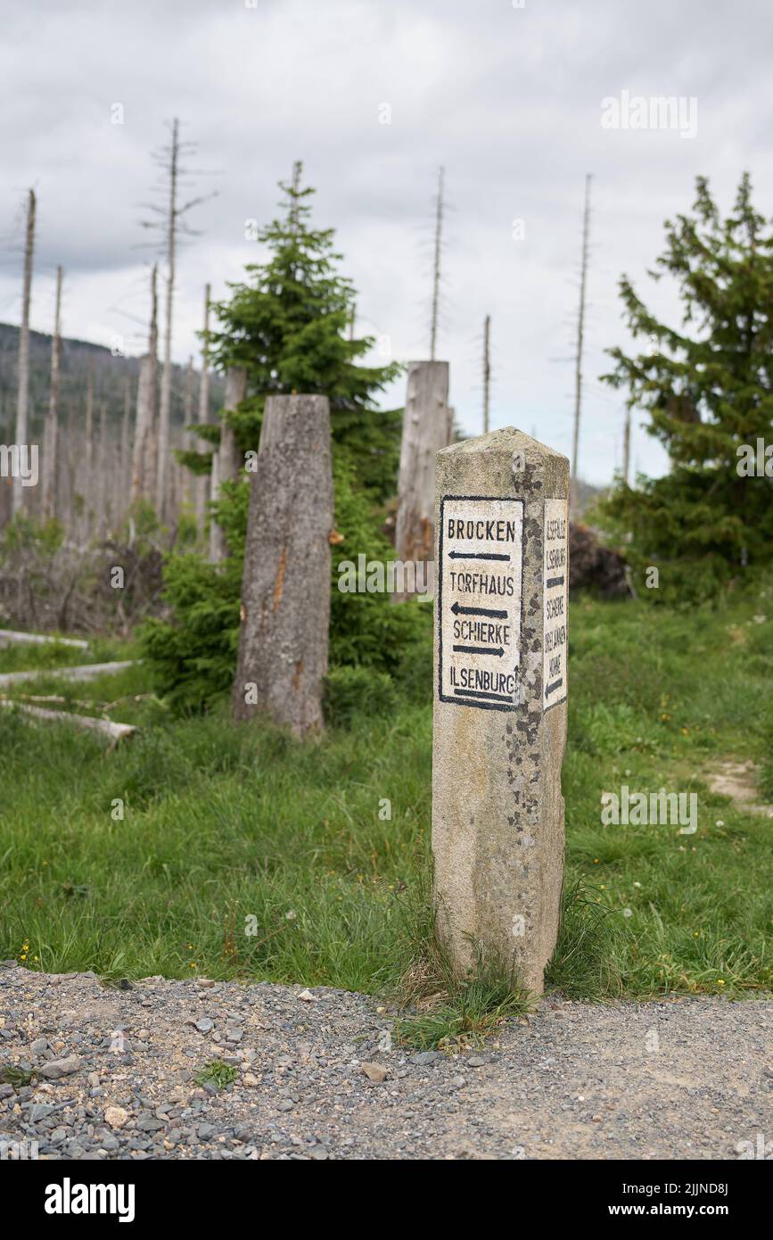 Stone signpost in the Harz National Park with directions to Torfhaus ...