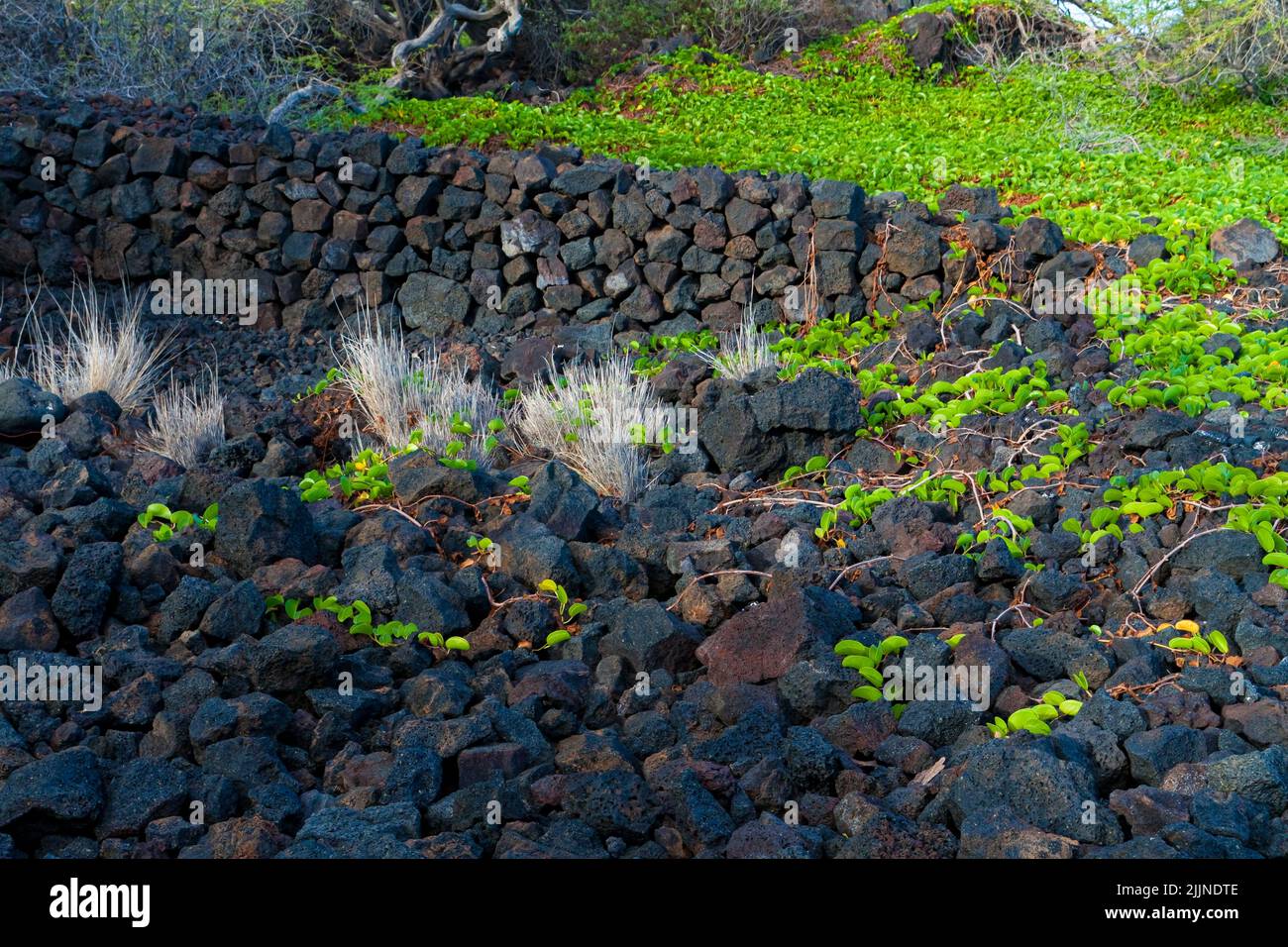 Lava rock wall hi-res stock photography and images - Alamy