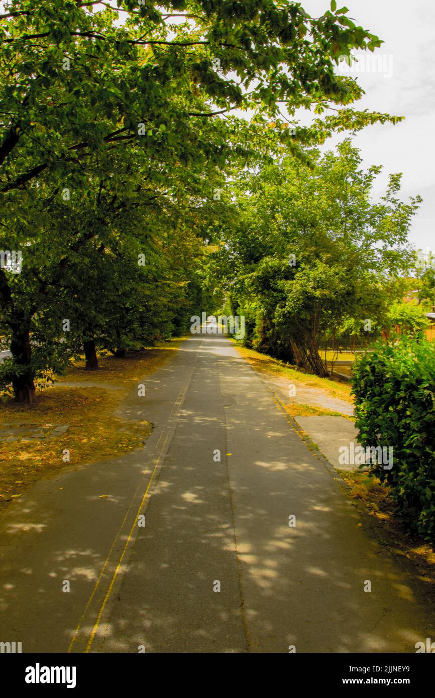 Beautiful vertical shot pathway hi-res stock photography and images - Alamy