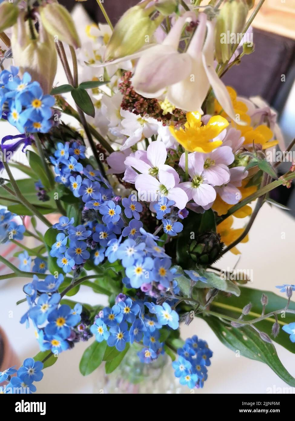 Fresh colorful flowers hi-res stock photography and images - Alamy