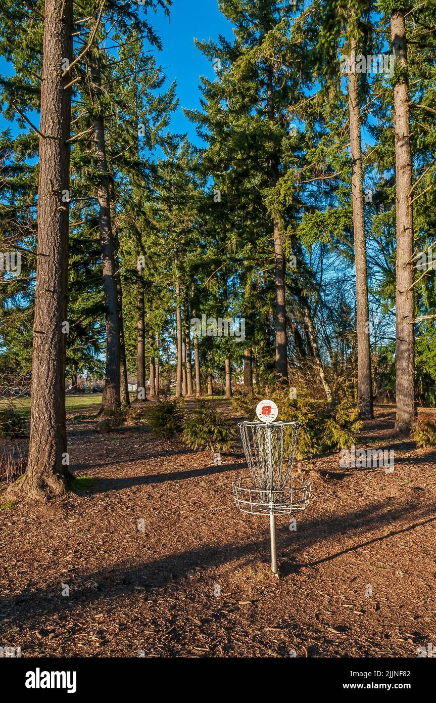 Golf target hi-res stock photography and images - Alamy