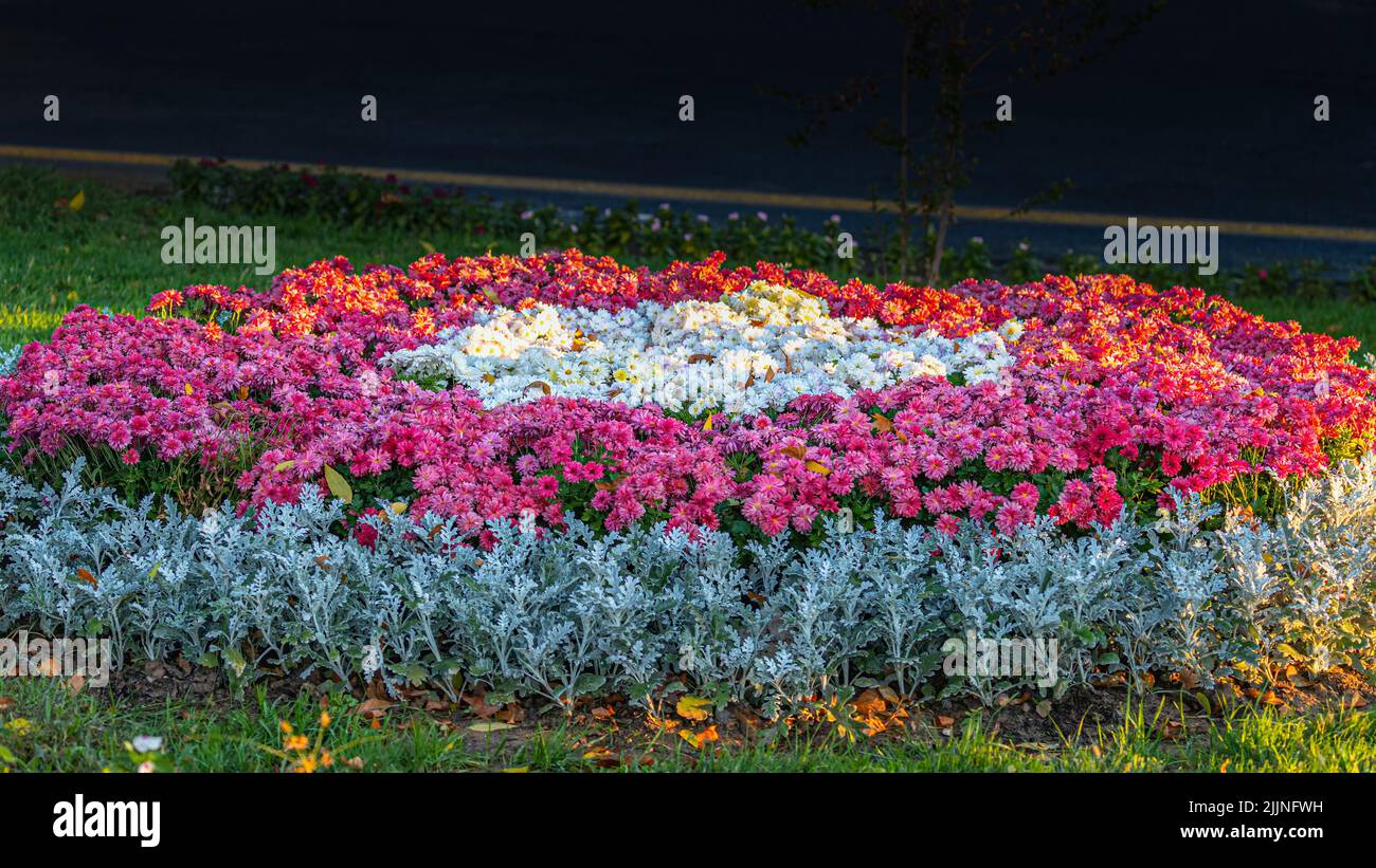 Flower bed on a roadside in circular form Stock Photo - Alamy