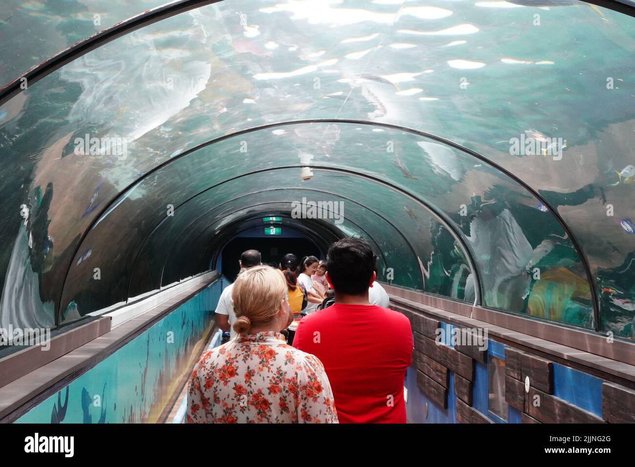 Walking tank hi-res stock photography and images - Alamy