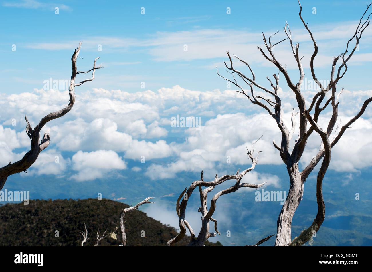 Borneo view from Kota Kinabalu mountain, Malaysia Stock Photo - Alamy