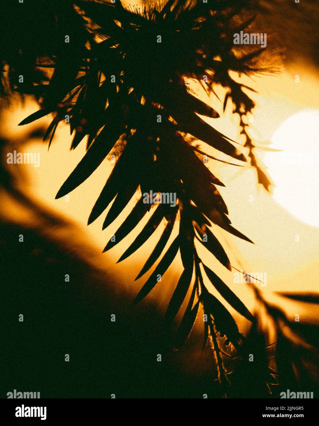 Gleaming hi-res stock photography and images - Alamy