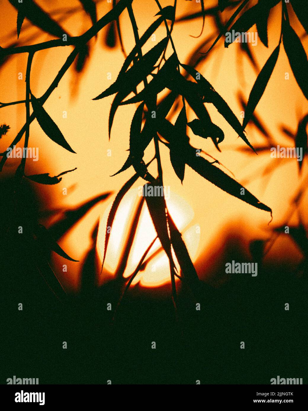 Gleaming hi-res stock photography and images - Alamy