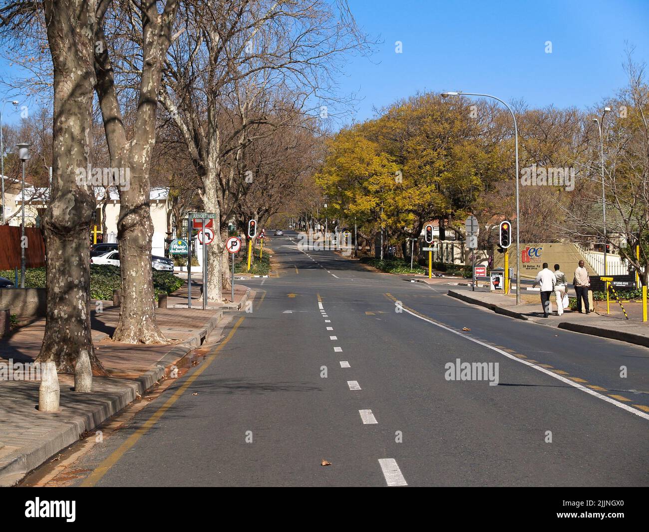 Johannesburg South Africa - August 11 2027; Treed suburban street in ...
