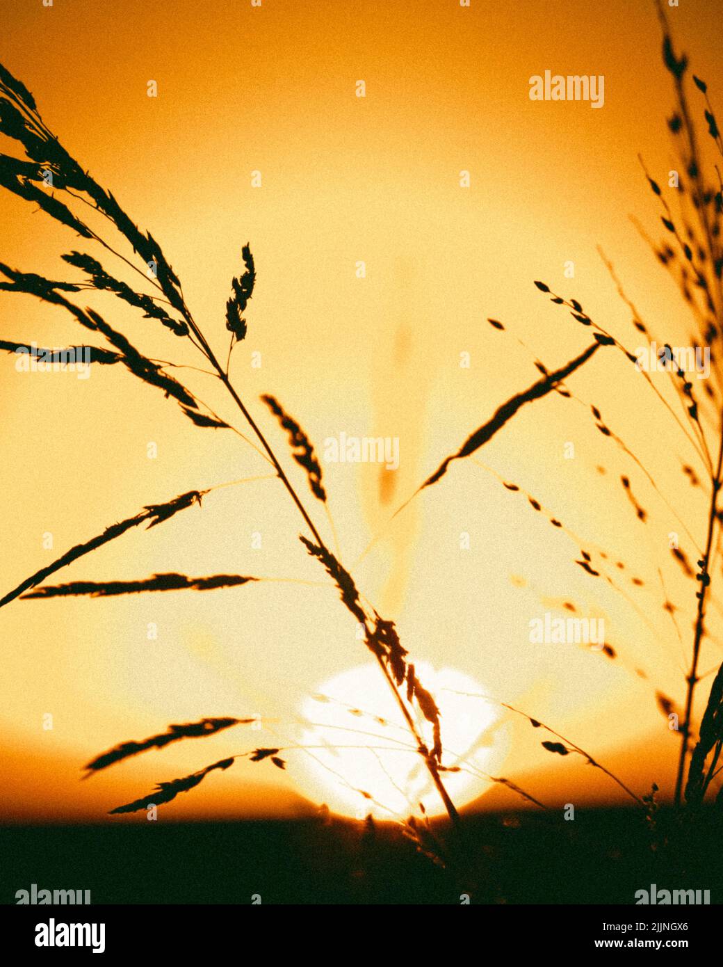 Gleaming hi-res stock photography and images - Alamy