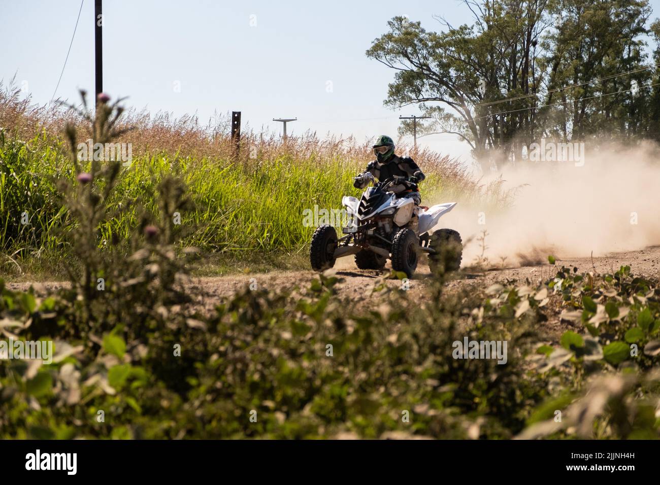 A person on a mountain bike in a speed racing rally on a farm Stock ...