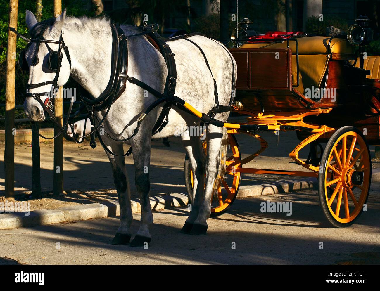 Old horse drawn cart in hi-res stock photography and images - Alamy