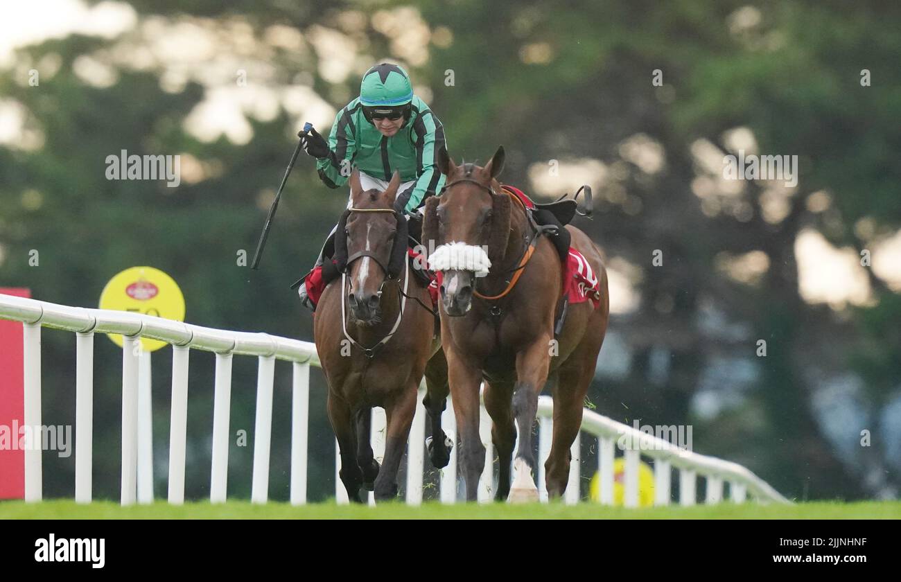 Hewick horse 2022 hi-res stock photography and images - Alamy