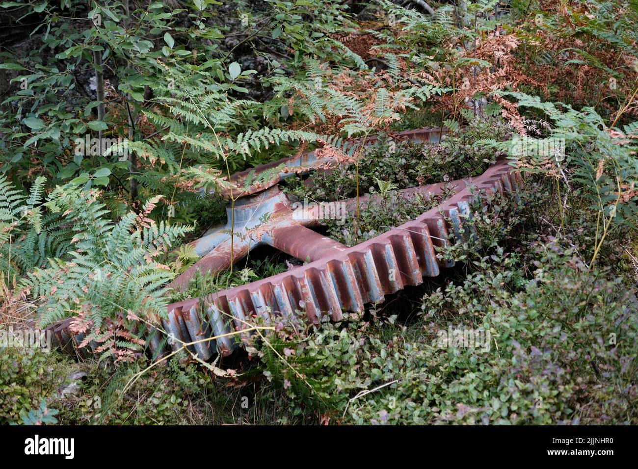 Rust in nature hi-res stock photography and images - Alamy