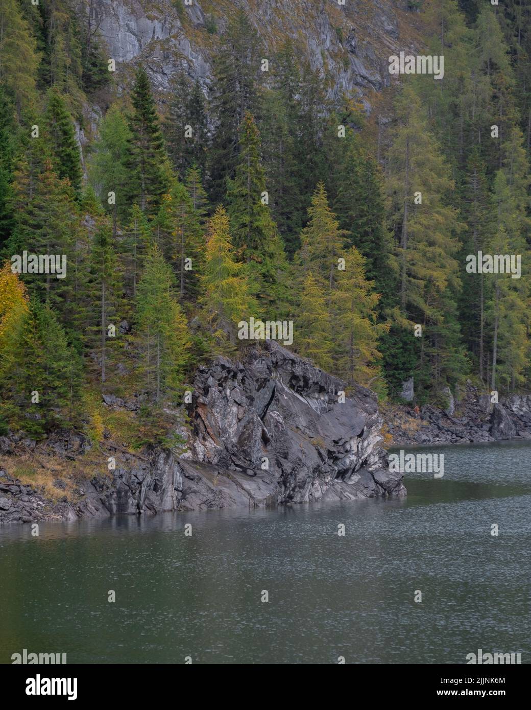 Lakeside plants hi-res stock photography and images - Alamy