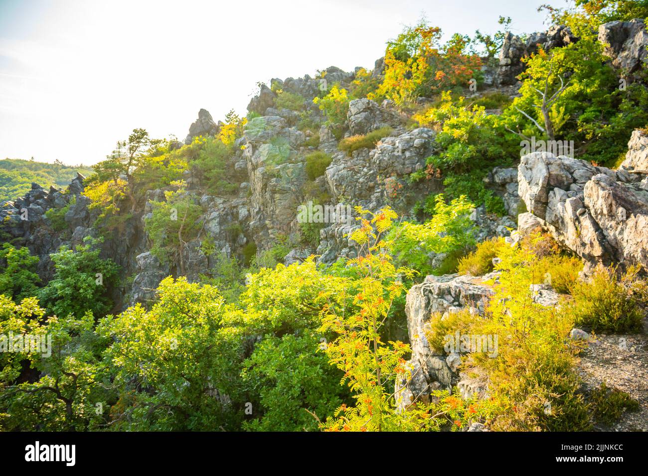 Popular wild park Divoka Sarka in Prague city in sunset time in summer ...