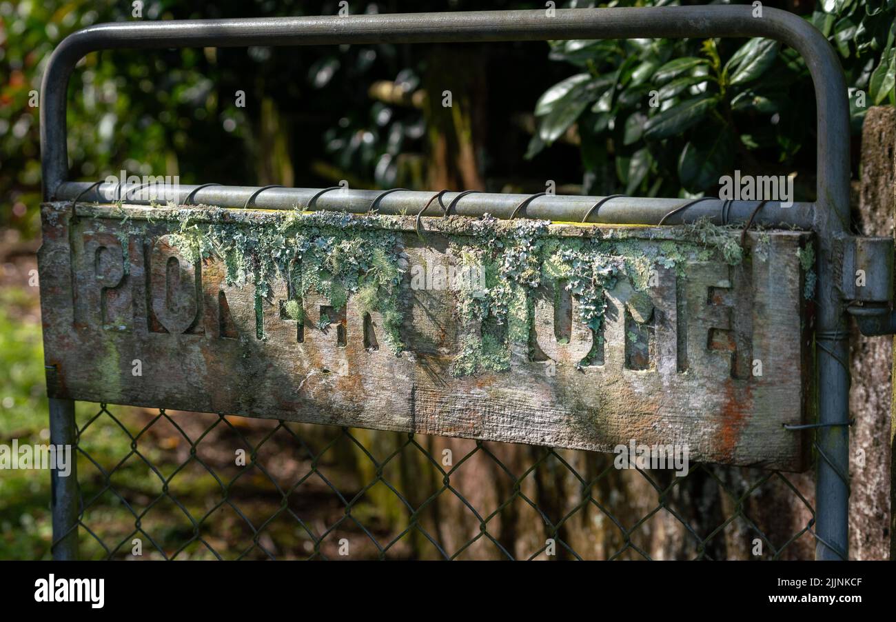 An old wooden signboard with the texts Pioneer home in Rai Valley ...