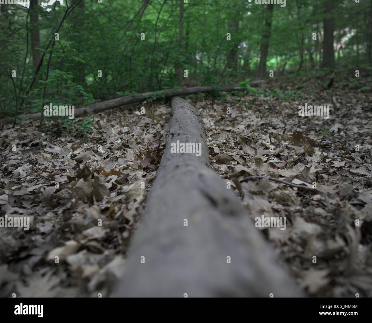 Stroll through water hi-res stock photography and images - Alamy