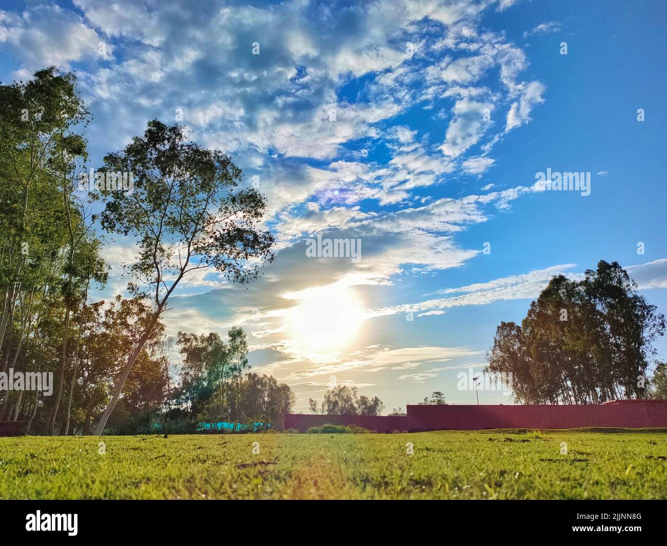 A beautiful view of a grassy field gleaming under the cloudy blue sky ...