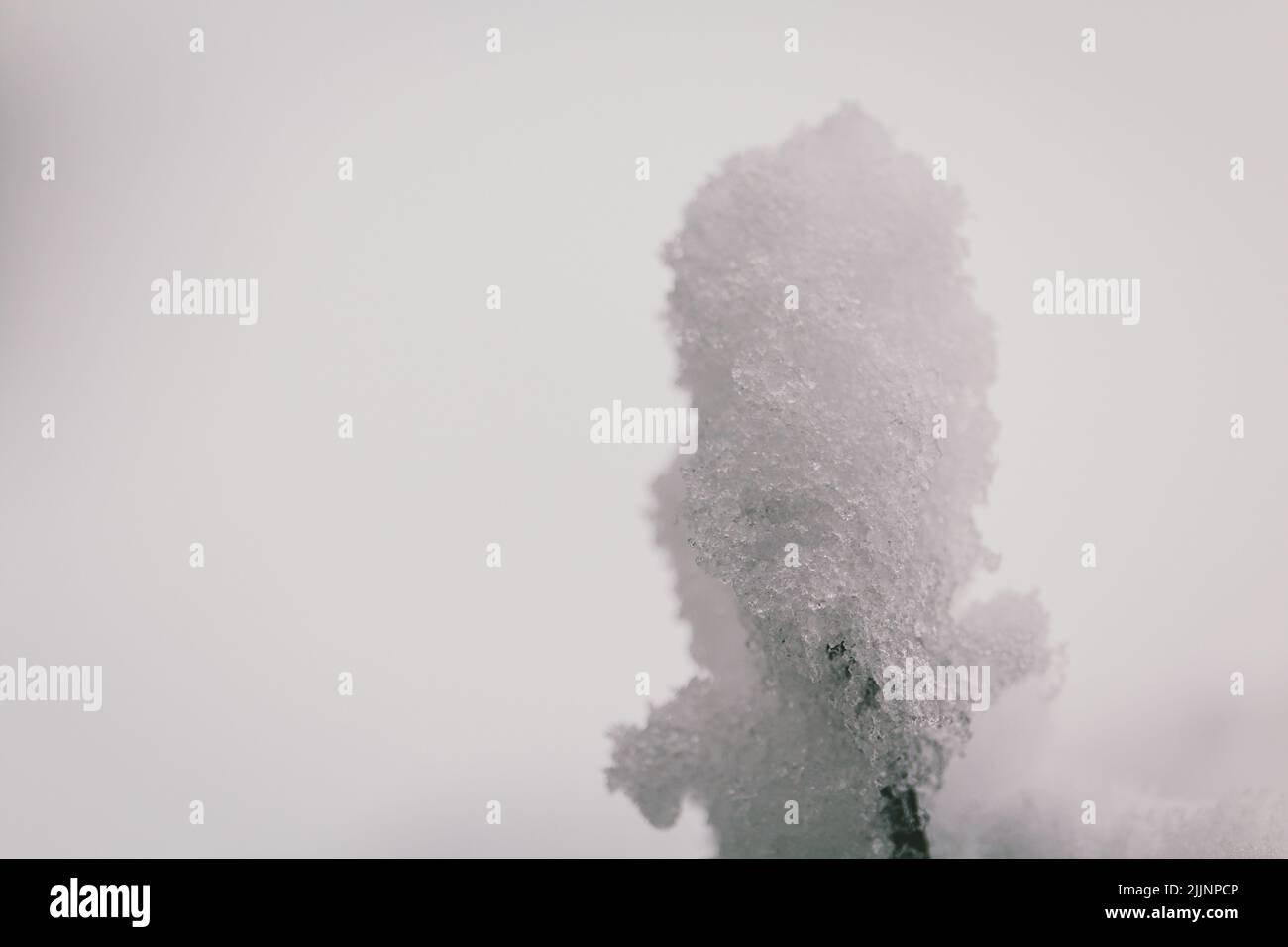 A close up view of snow crystal accumulation on stick after a major ...