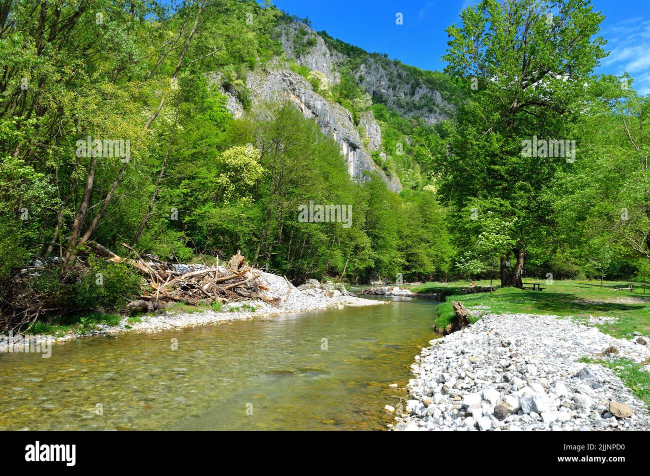 A beautiful shot of the Gradac river in a forest in Serbia Stock Photo ...