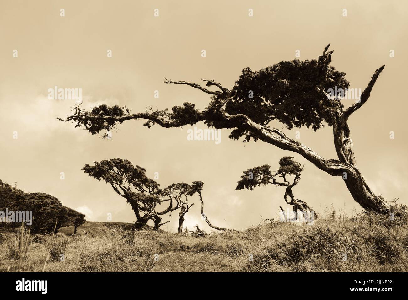 Sunlight on metal surface hi-res stock photography and images - Alamy