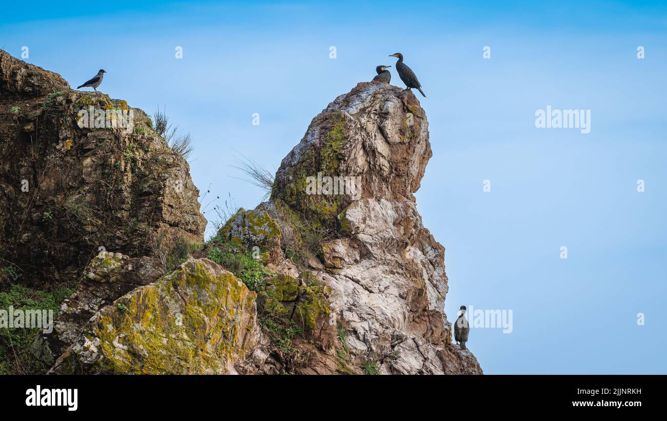 Turkey bulgaria border hi-res stock photography and images - Alamy