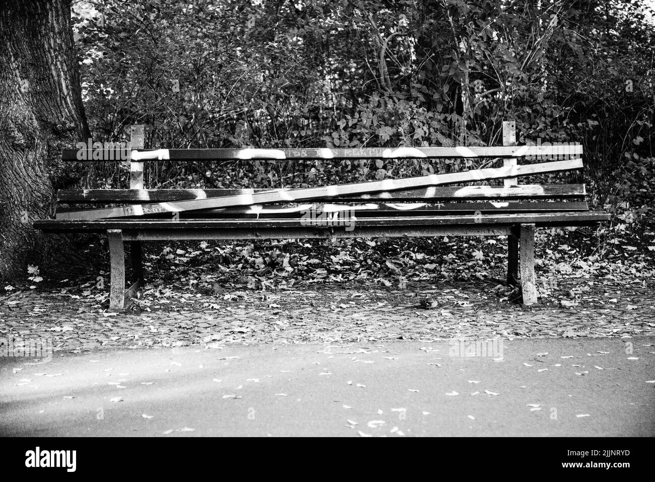 Graffiti fallen tree Black and White Stock Photos & Images - Alamy
