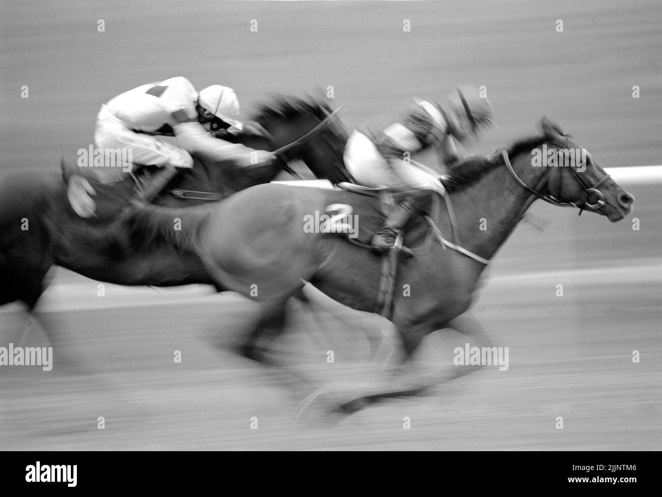 A black and white shot of a horse race at Wolverhampton racecourse ...
