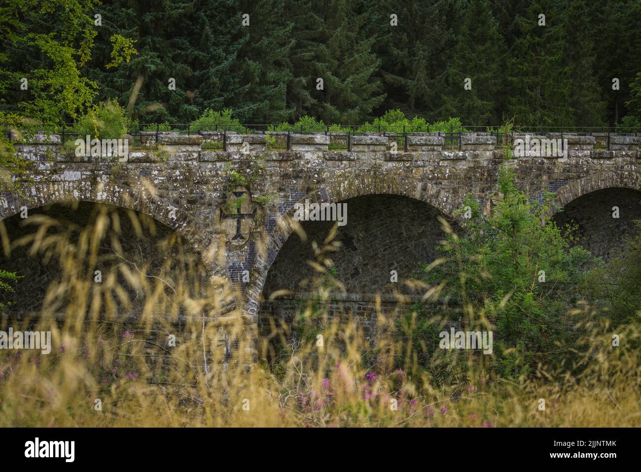 An old stone bridge surrounded by dense spruce trees and grass Stock ...