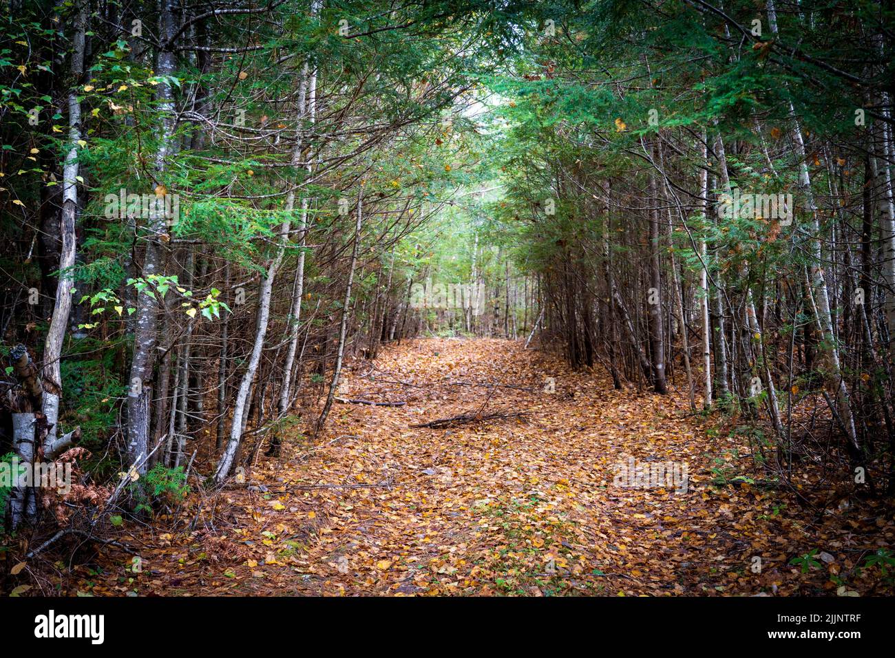 Seldom used hi-res stock photography and images - Alamy