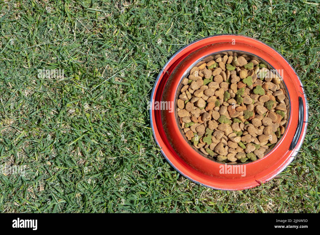 dog food dish in the park. pet concept. pet food concept. vet concept ...