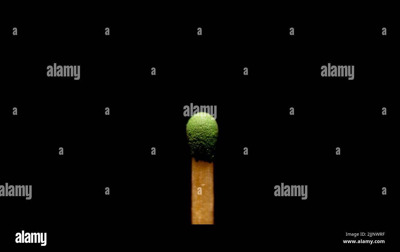 Match Stick on black background, unlit fire starter studio wood burn ...