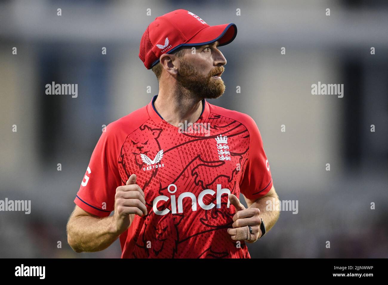 Richard gleeson hi-res stock photography and images - Alamy